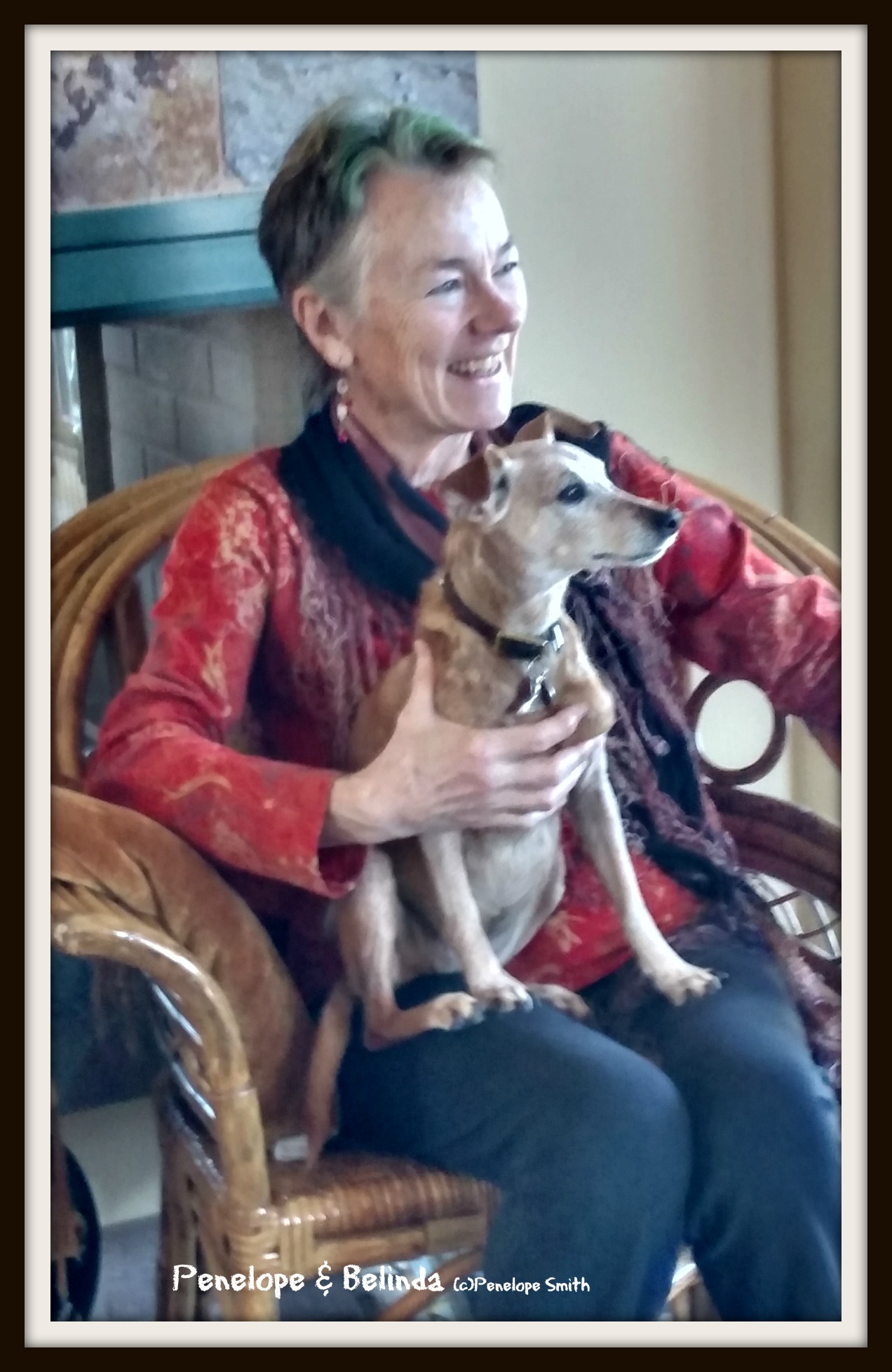 Communication Animale éthique - Au Delà Des Apparences